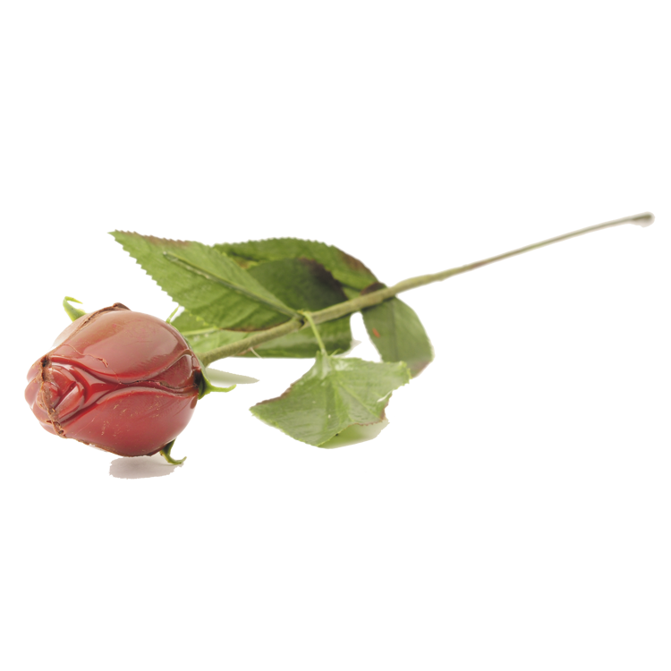 Rose en chocolat au lait praliné